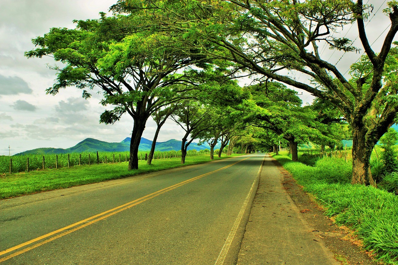 Altomira Reserva Natural Privada – Finca en Manizales, Ecoturismo ...