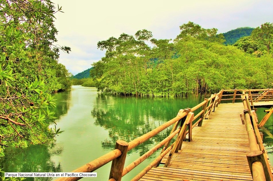 Parque Nacional Natural Utría – Altomira Reserva Natural Privada
