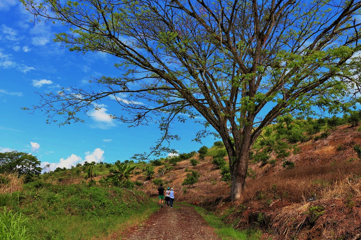 Una buena caminata por la Finca Altomira – Altomira Reserva Natural Privada