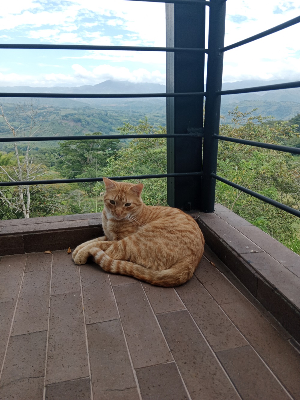 Vacaciones en Altomira, enero 2024 – Altomira Reserva Natural Privada