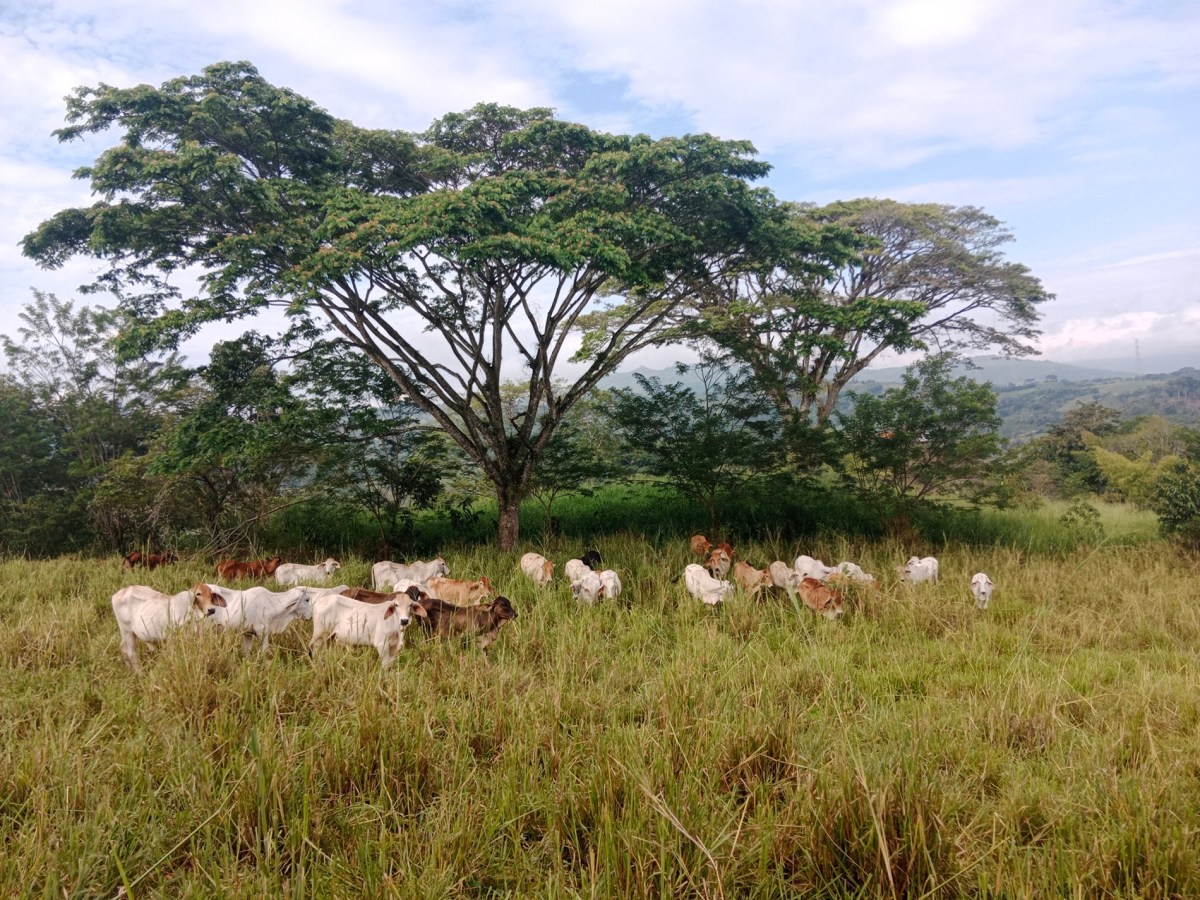 Un día de campo en Altomira – Altomira Reserva Natural Privada
